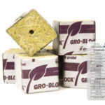 Kratky Method of Hydroponics Simplified | Master the Art of Kratky ...