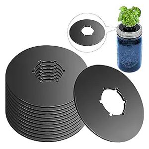 Kratky Hydroponic Lettuce - Everything You Need to Know About Kratky ...